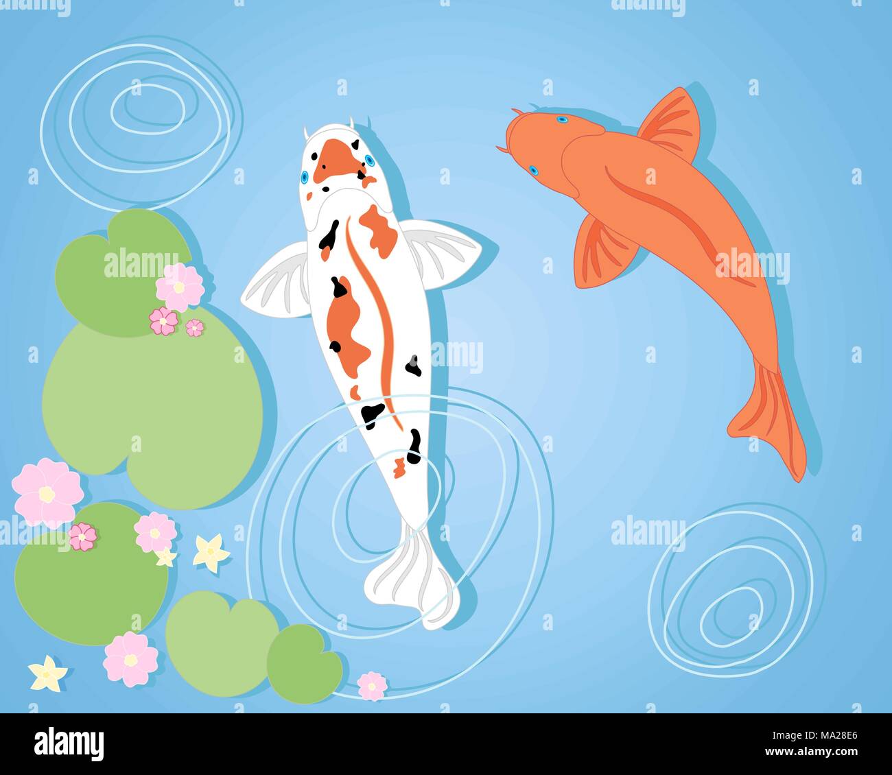 an illustration of two colorful koi carp simming in a pool with aquatic ...