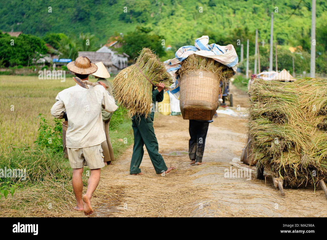 Farmers asia hi-res stock photography and images - Alamy