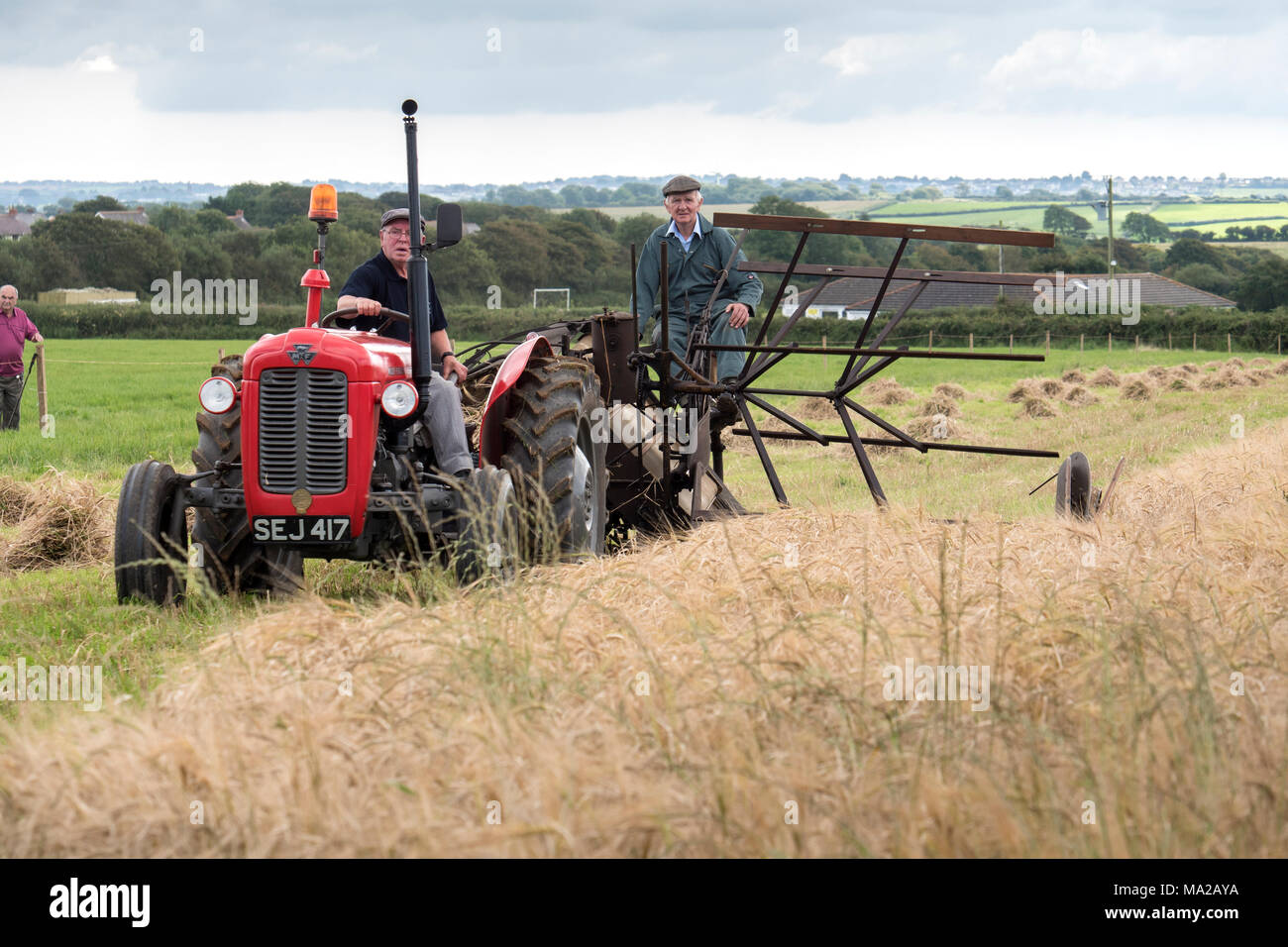 Camrose Vintage Working Day Cutting crops Camrose Haverfordwest ...