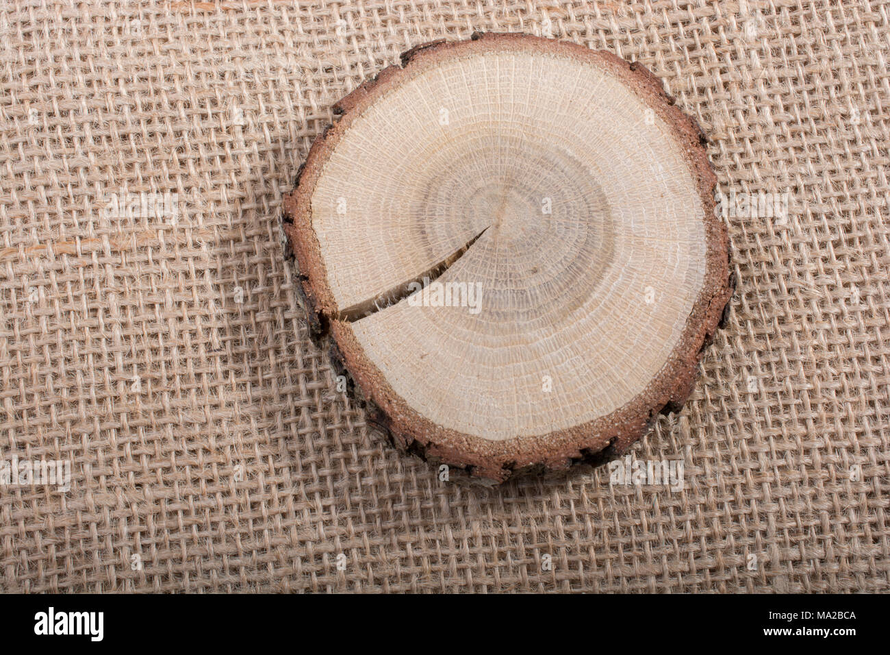 Piece of cut wood log texture as background Stock Photo - Alamy