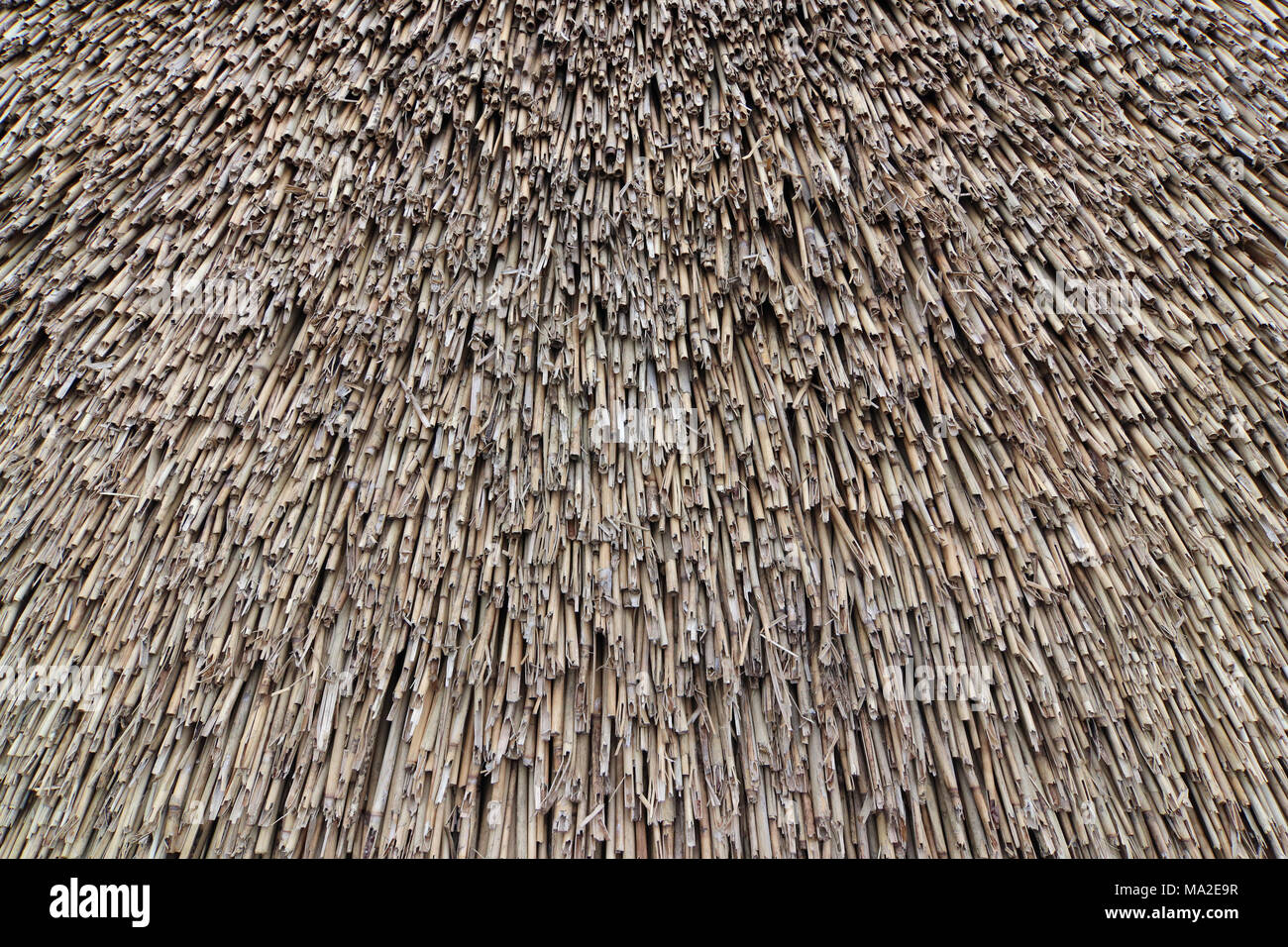 Texture of the reed roof - detail Stock Photo - Alamy