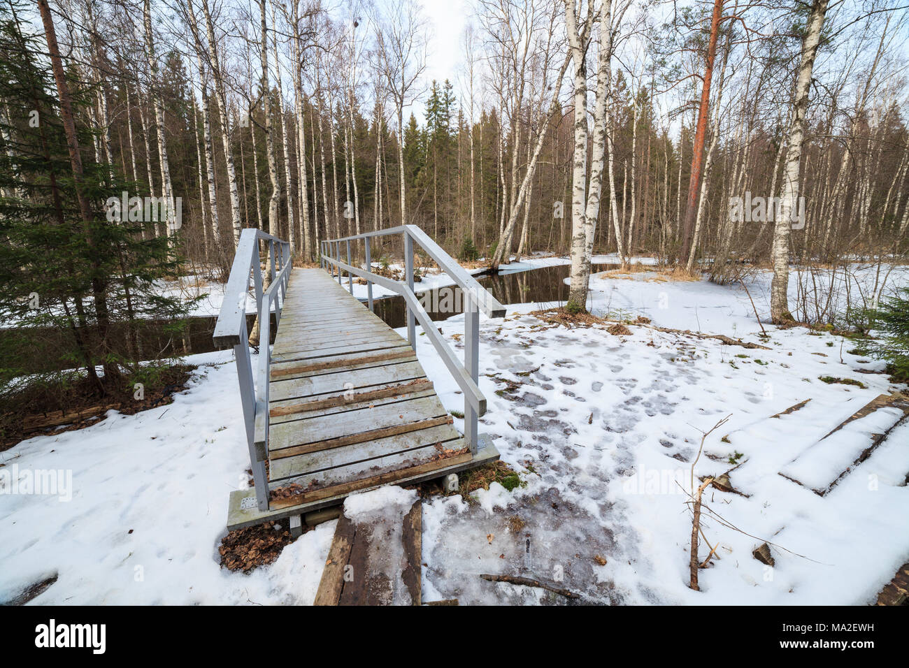 Small wooden bridge over river at spring forest Stock Photo - Alamy