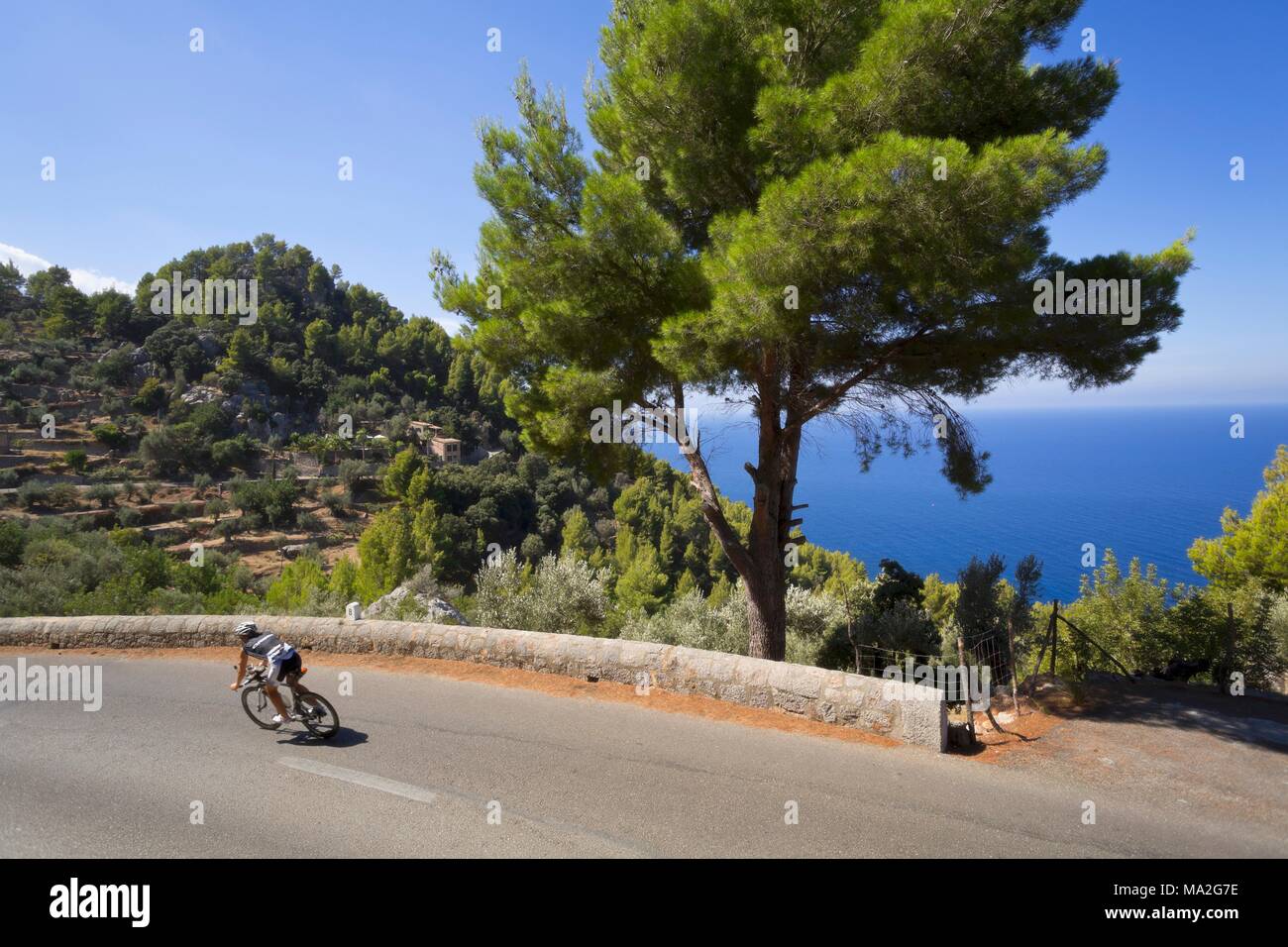 A racing cyclist rounding a bend against a stunning backdrop of Majorca ...