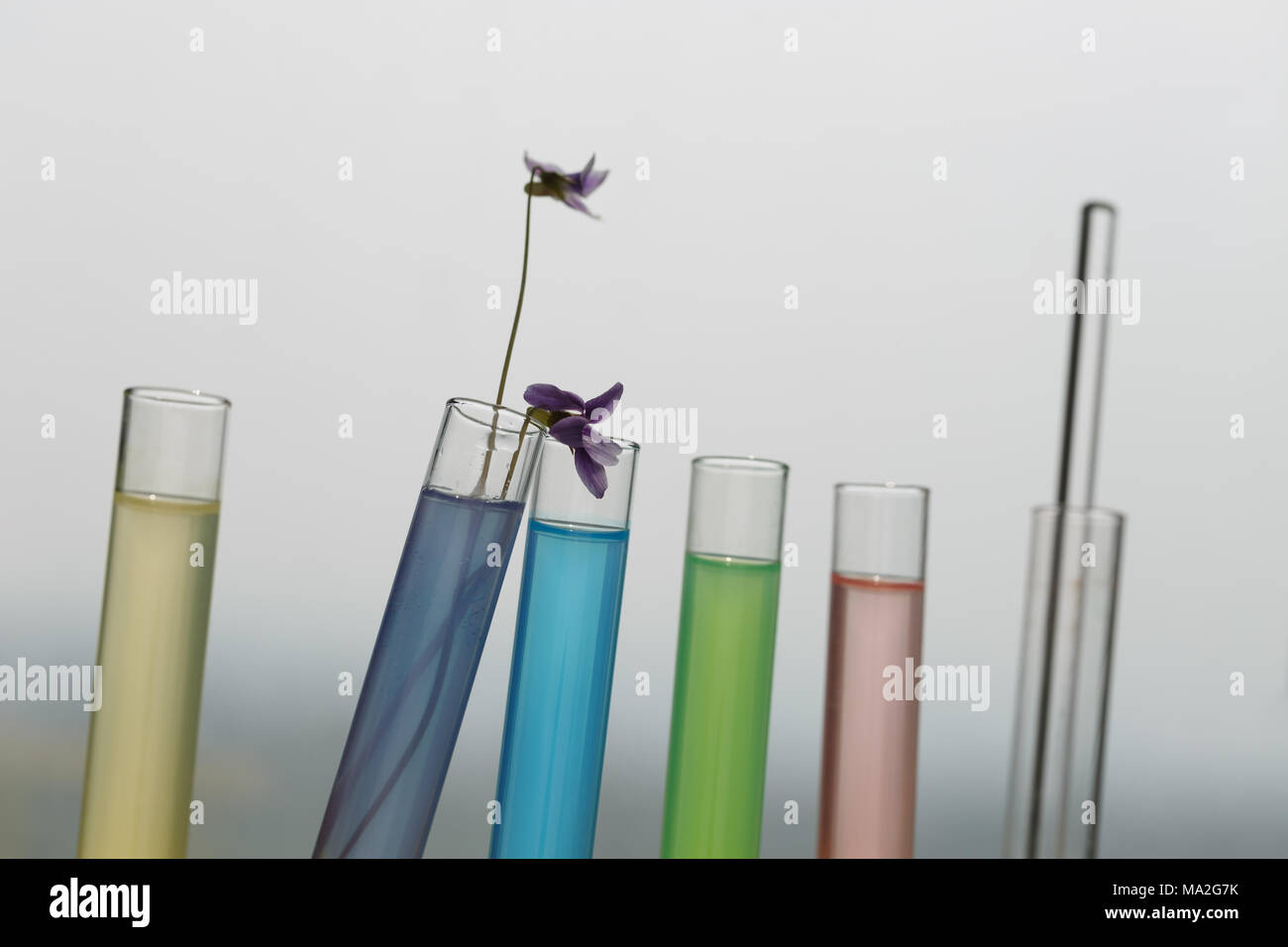 Biochemistry experiment scene, biological gene technology scene Stock ...