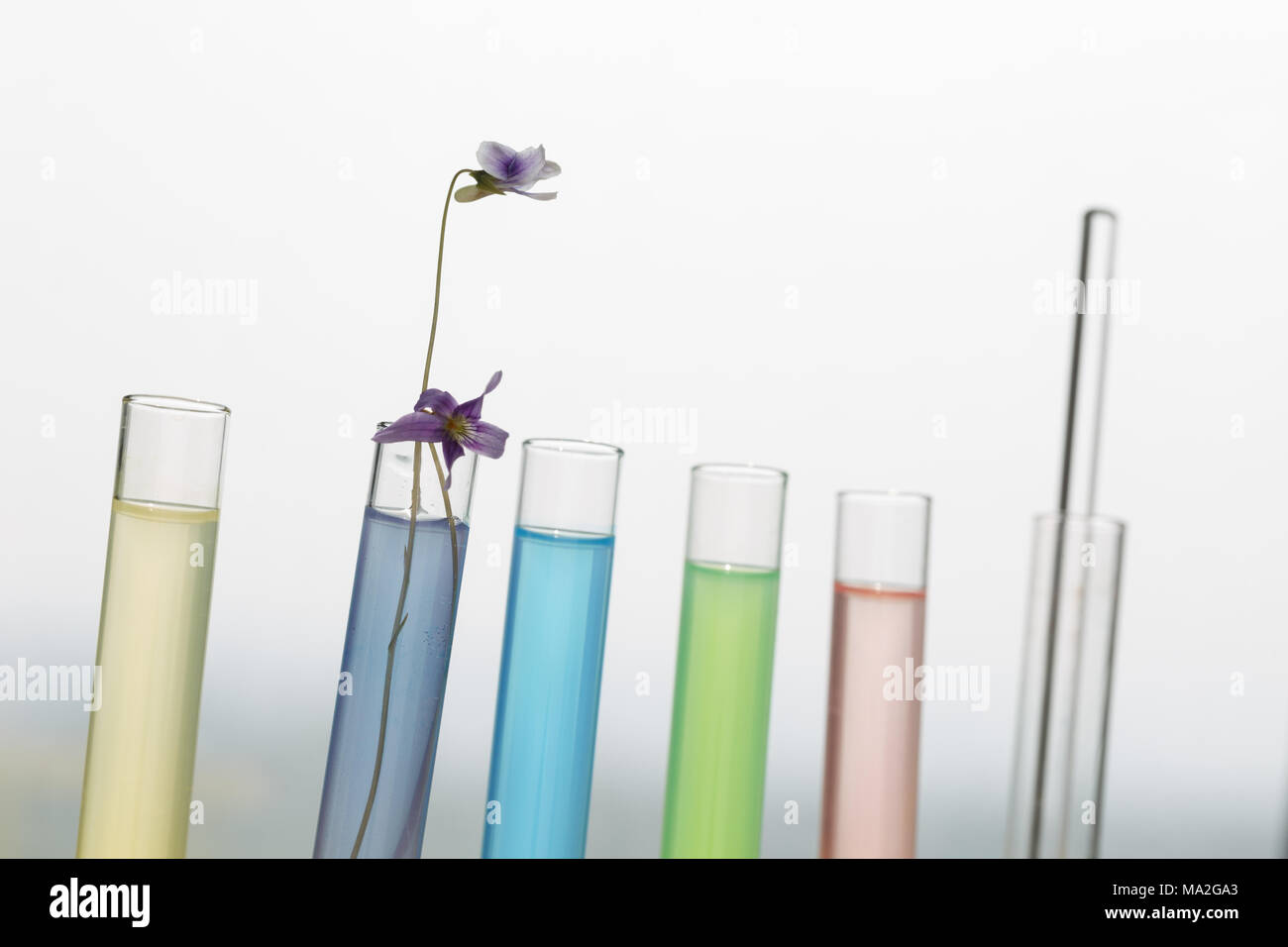 Biochemistry experiment scene, biological gene technology scene Stock ...