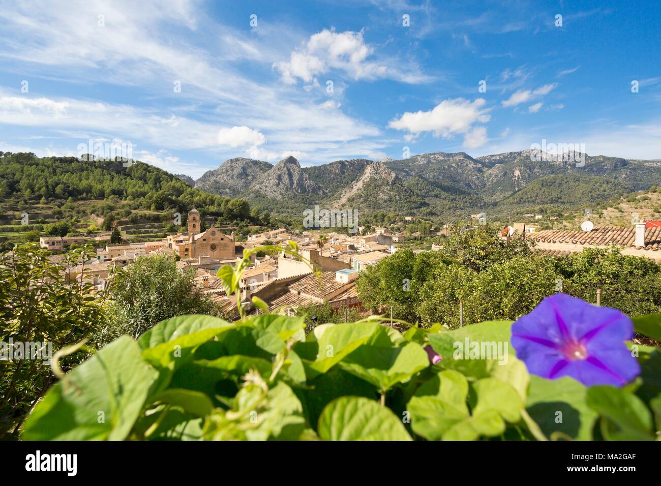 The town of Bunyola at the foot of the Tramuntana Mountains, Majorca ...