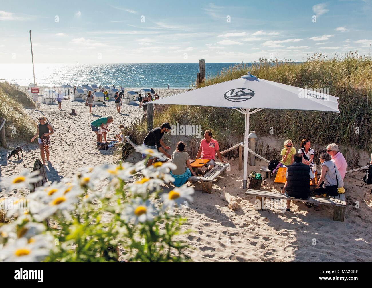 Sylt buhne 16 hi-res stock photography and images - Alamy Sylt buhne 16 hi-res stock photography and images - Alamy