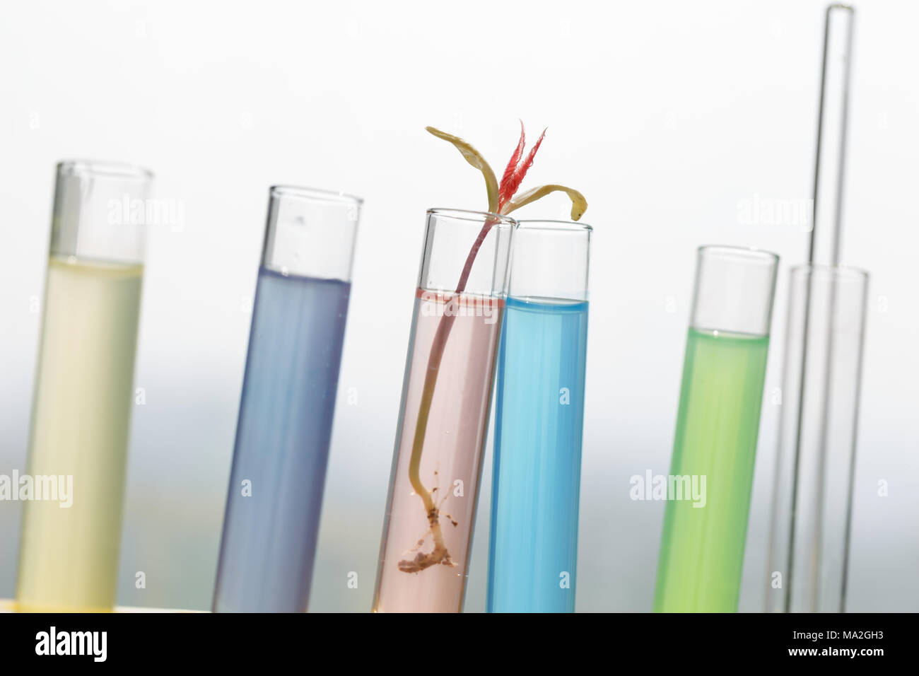 Biochemistry experiment scene, biological gene technology scene Stock ...