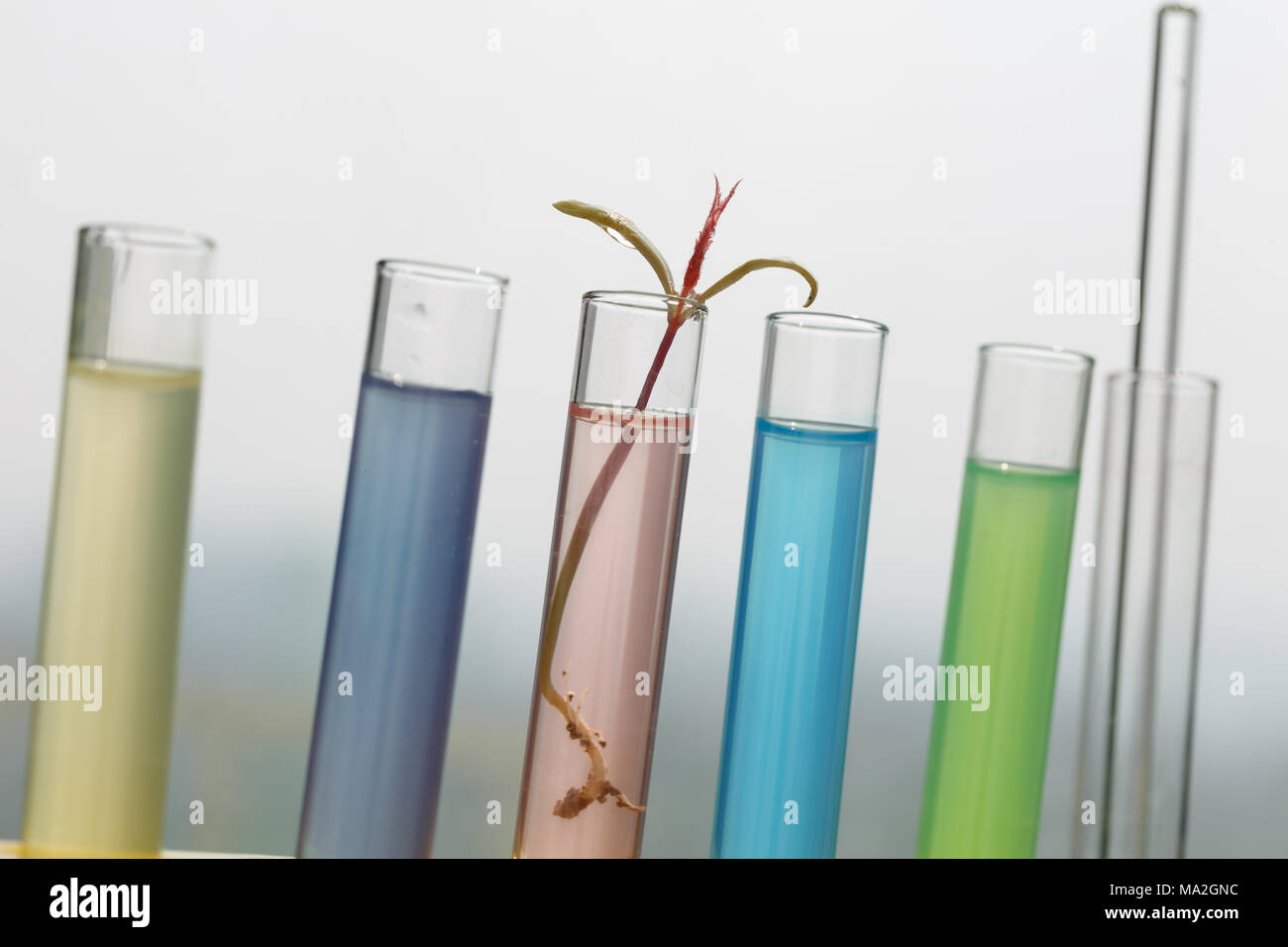 Biochemistry experiment scene, biological gene technology scene Stock ...