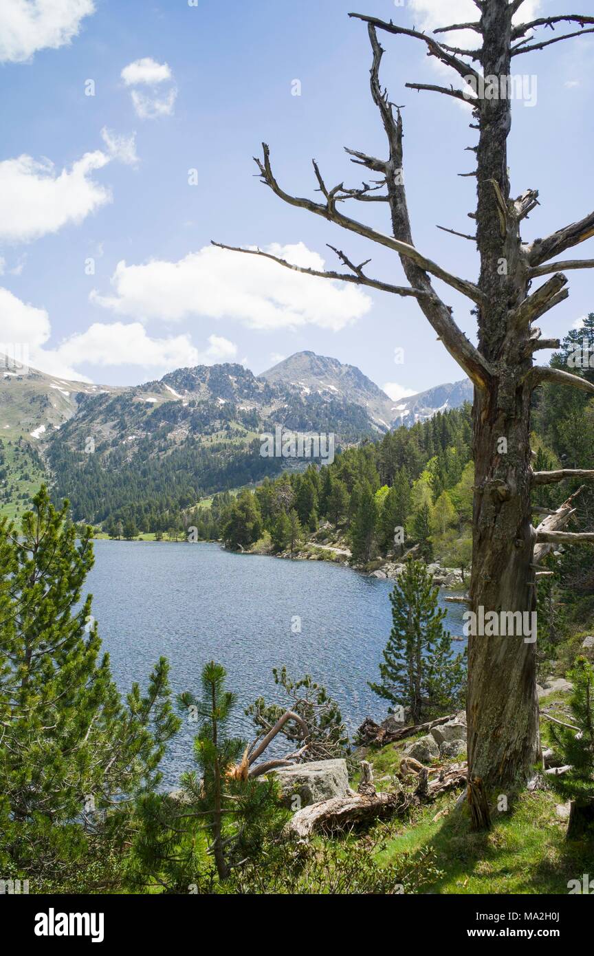 Estany Llong lake in Aigüestortes national park in the Pyrenees ...