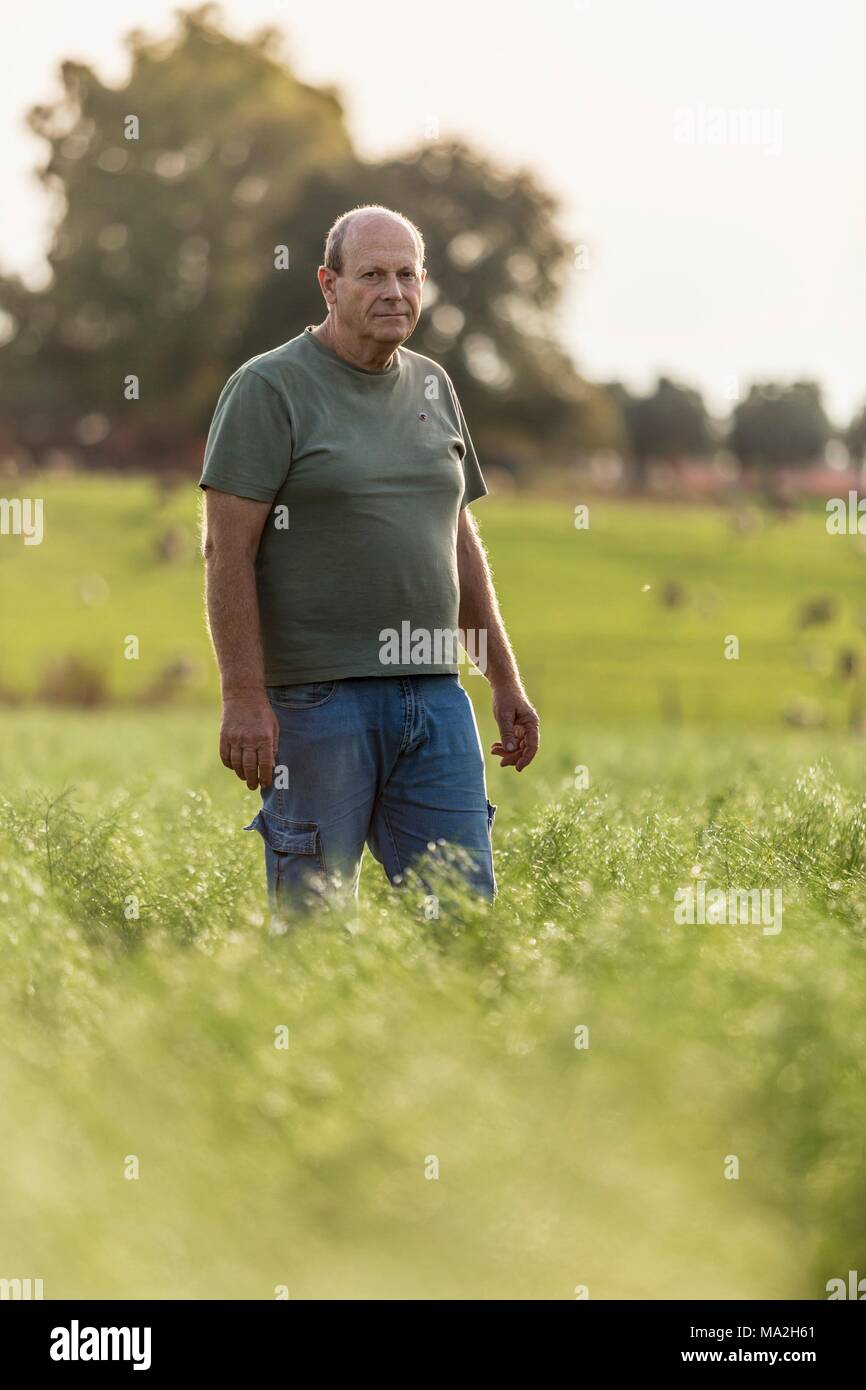 Bonanni hi-res stock photography and images - Alamy