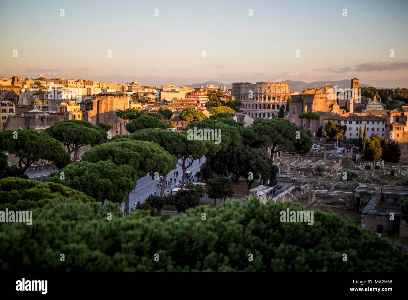 Colosseum rome shade hi-res stock photography and images - Alamy