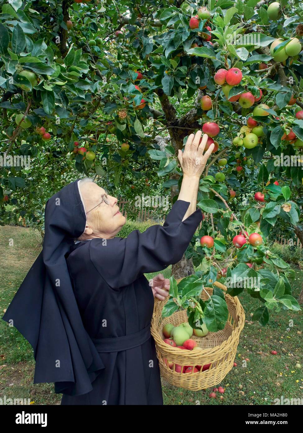 Hildergard of bingen hi-res stock photography and images - Alamy