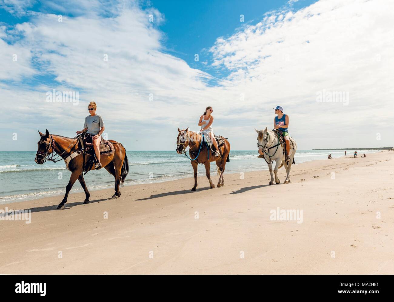Florida horse riding hi-res stock photography and images - Alamy