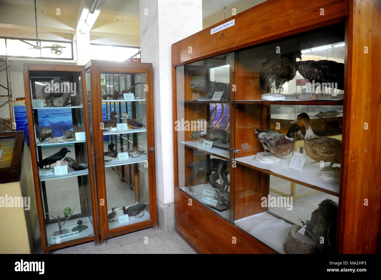 National museum of science & technology Stock Photo - Alamy