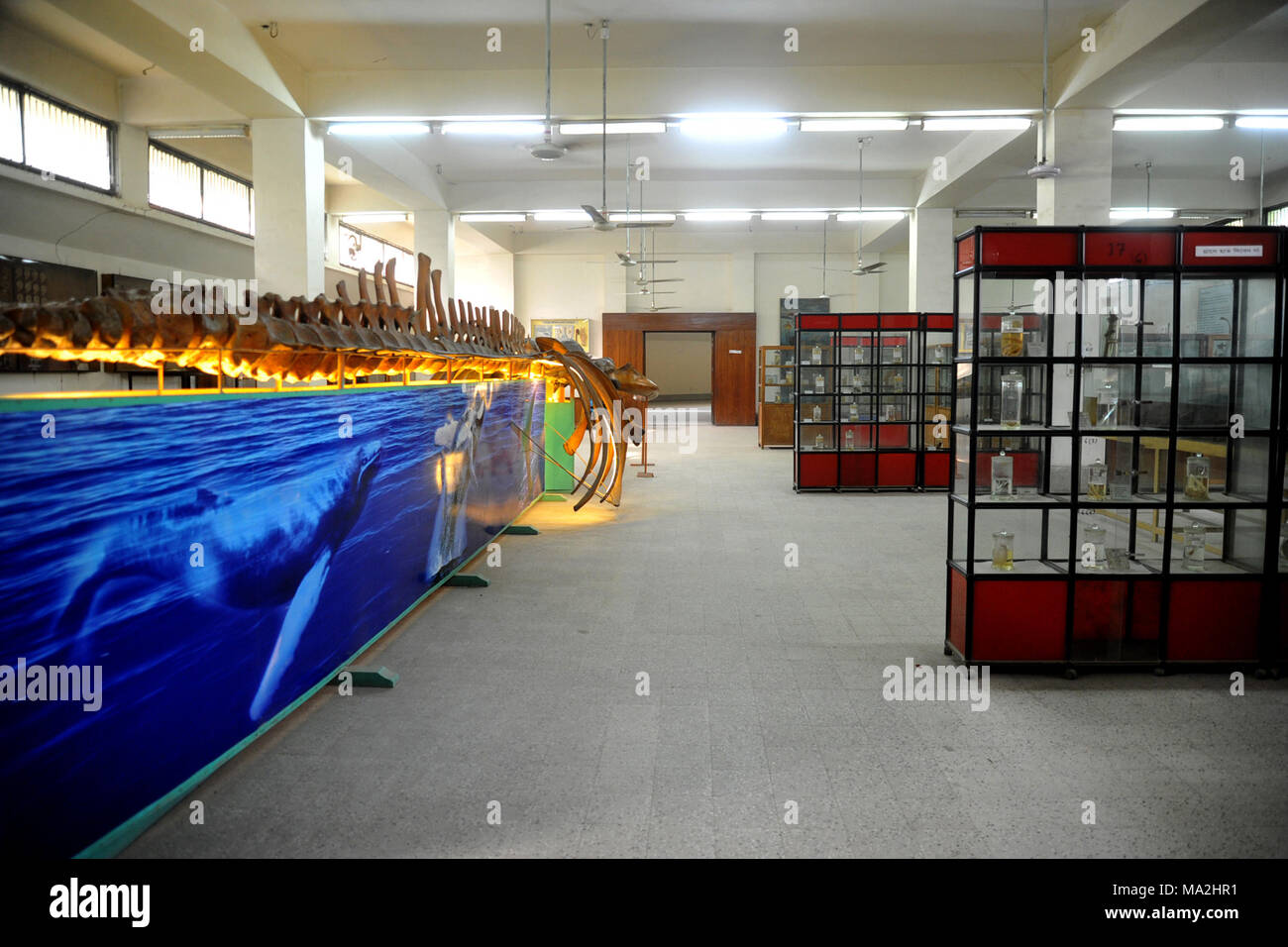 National museum of science & technology Stock Photo - Alamy