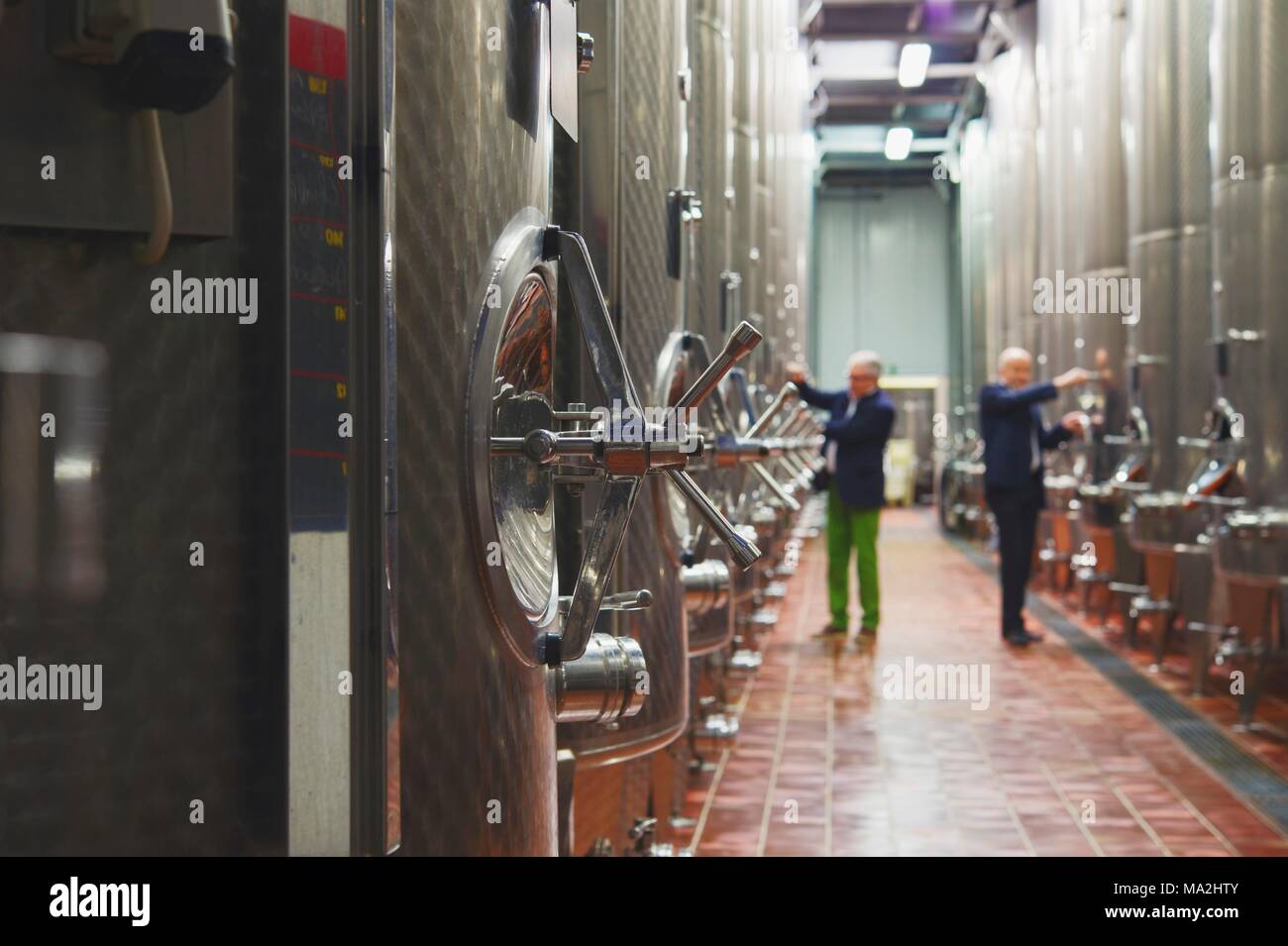 A wine grower working in a wine cellar, Lake Geneva, Switzerland Stock ...