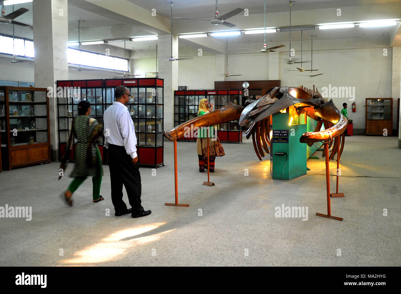 National museum of science & technology Stock Photo - Alamy