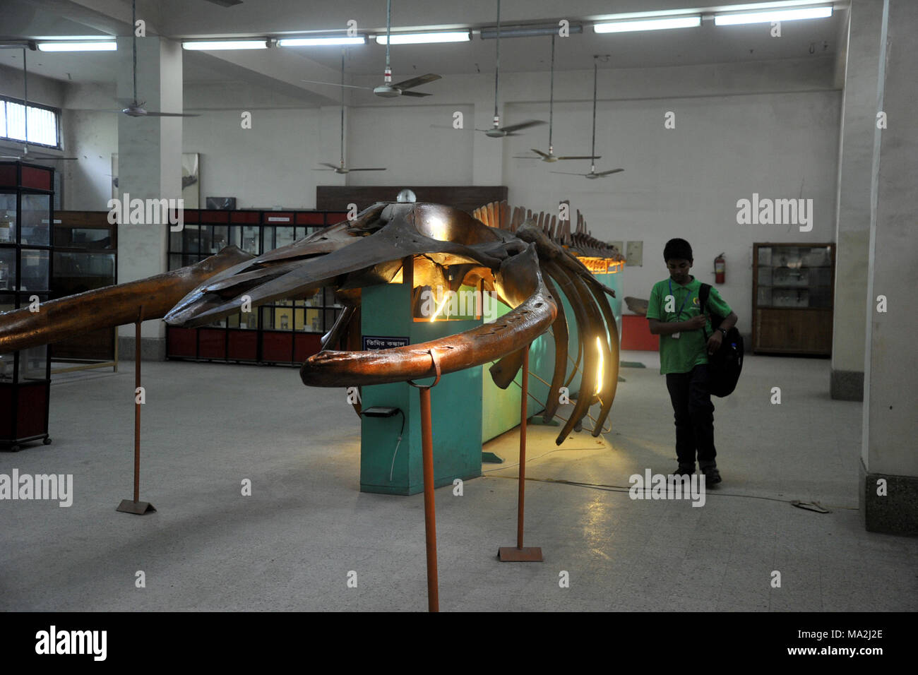National museum of science & technology Stock Photo - Alamy