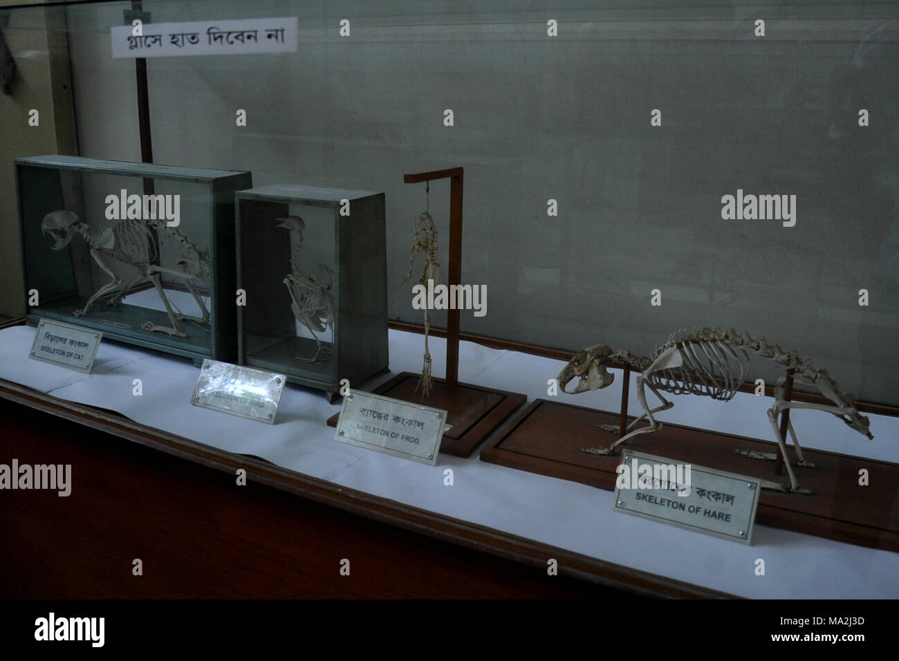 National museum of science & technology Stock Photo - Alamy