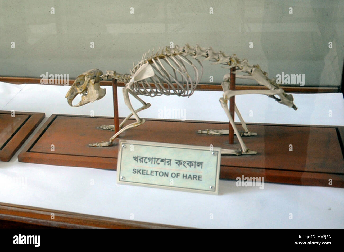 National museum of science & technology Stock Photo - Alamy