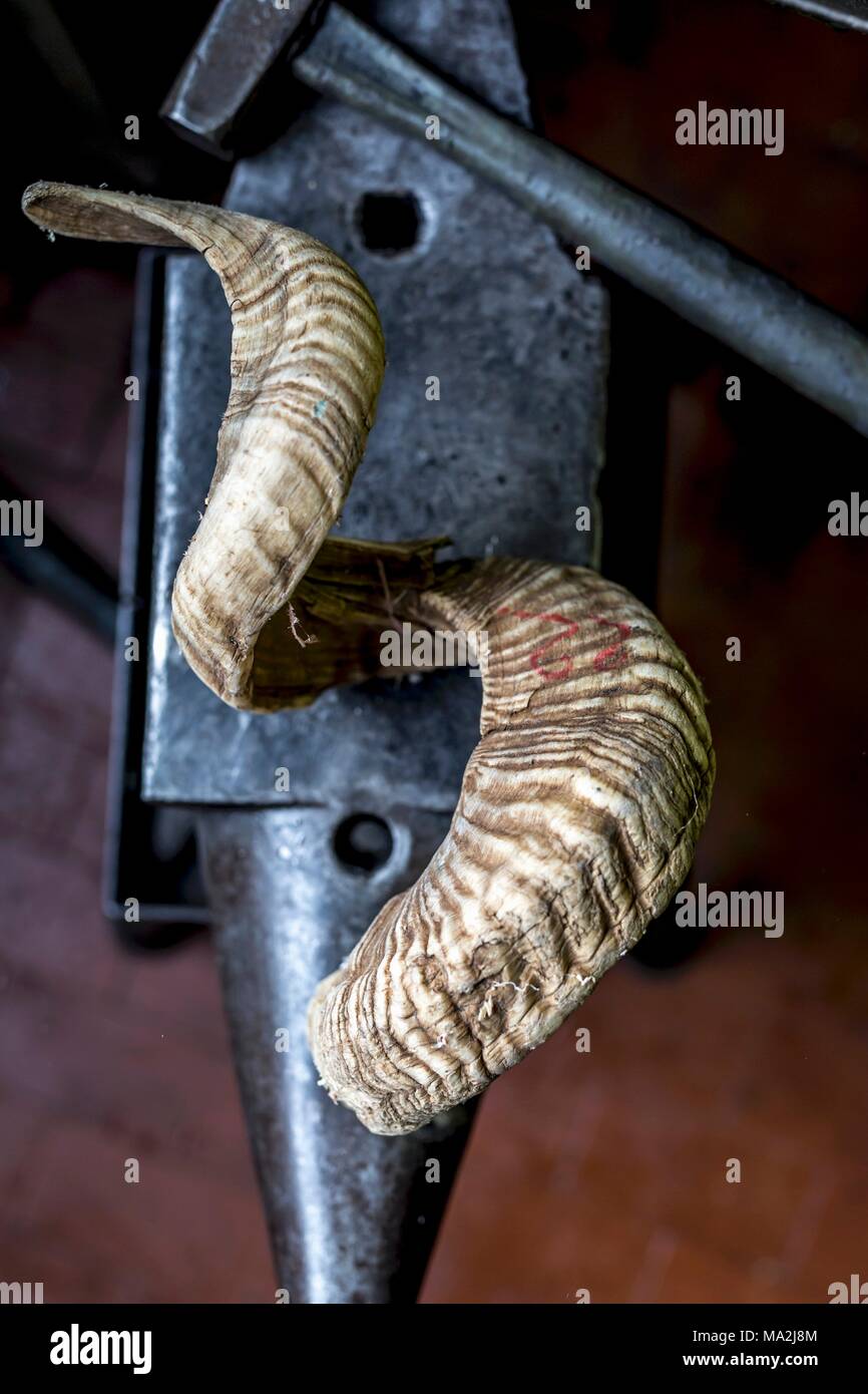 A rams horn and a hammer on an anvil Stock Photo - Alamy