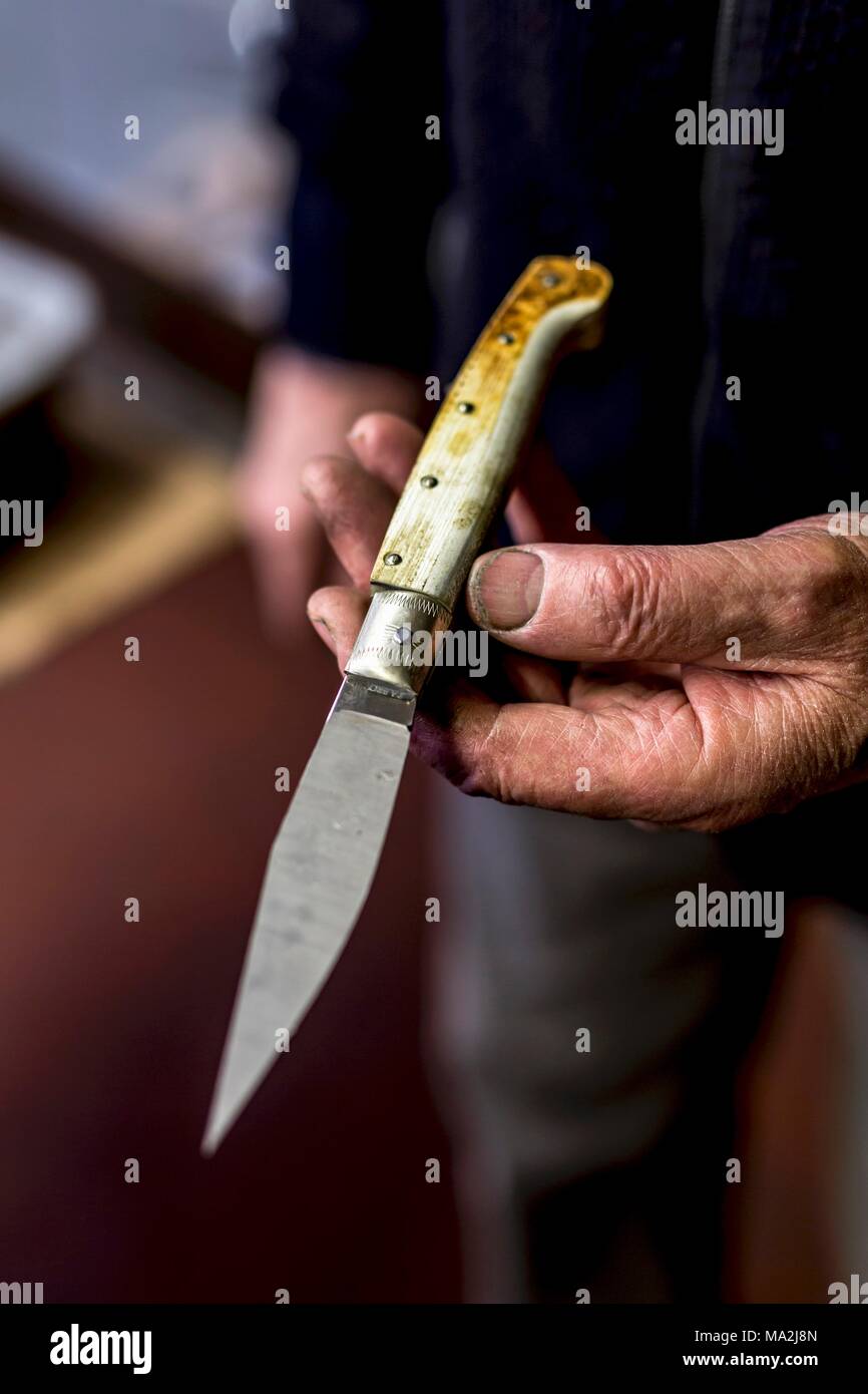 Kitchen hand held knife hi-res stock photography and images - Alamy