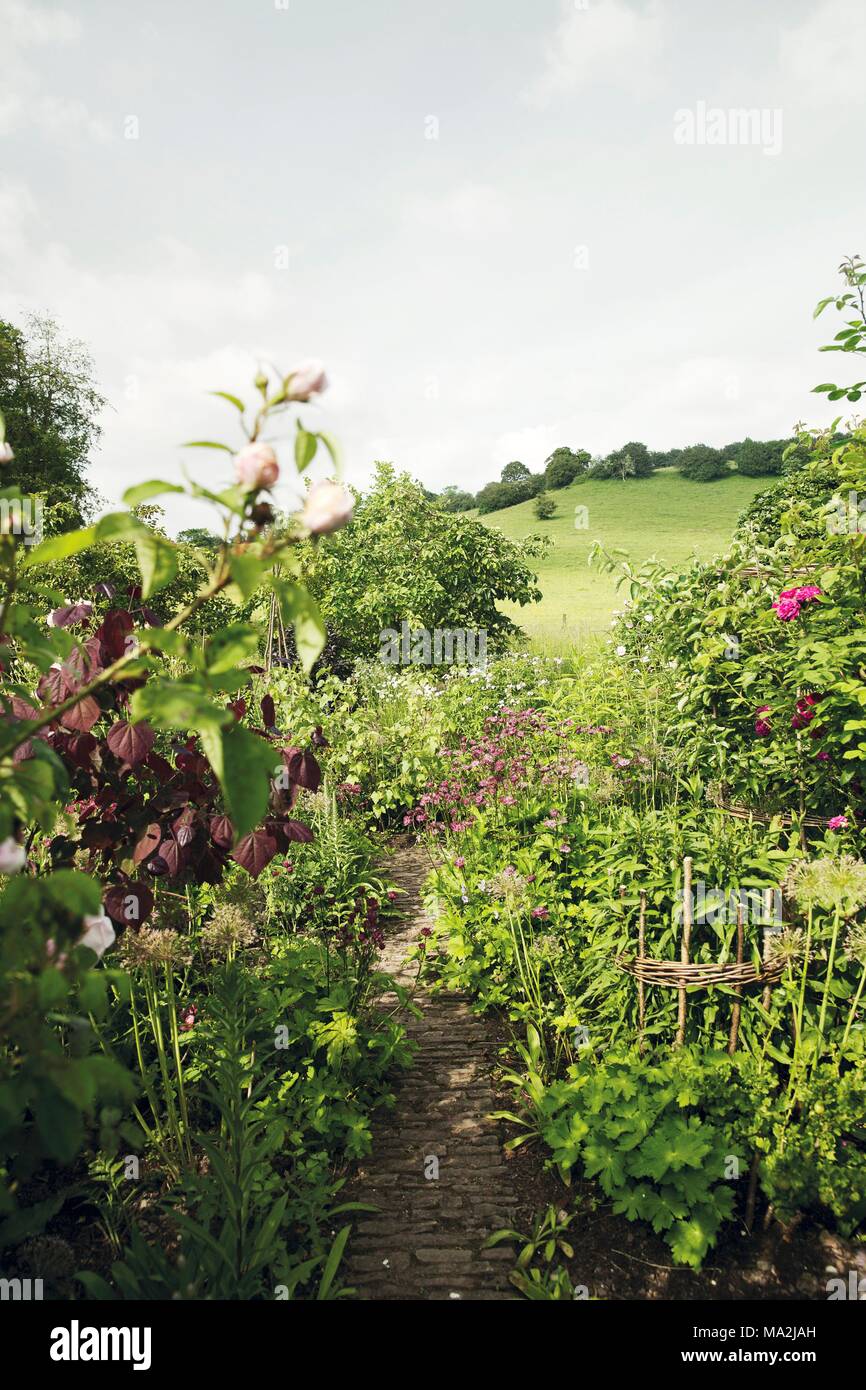 Arne maynard hi-res stock photography and images - Alamy