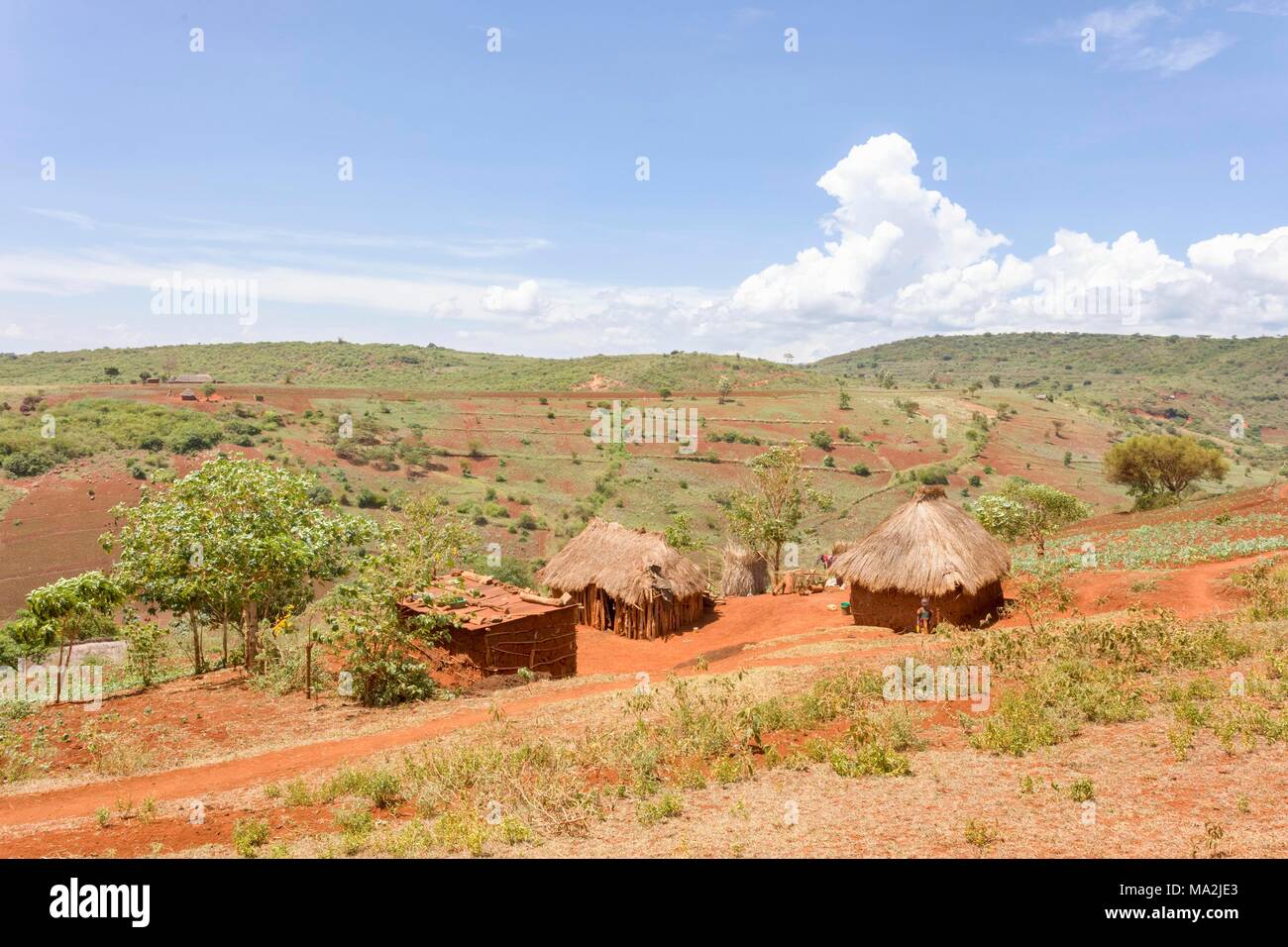 Native huts hi-res stock photography and images - Alamy