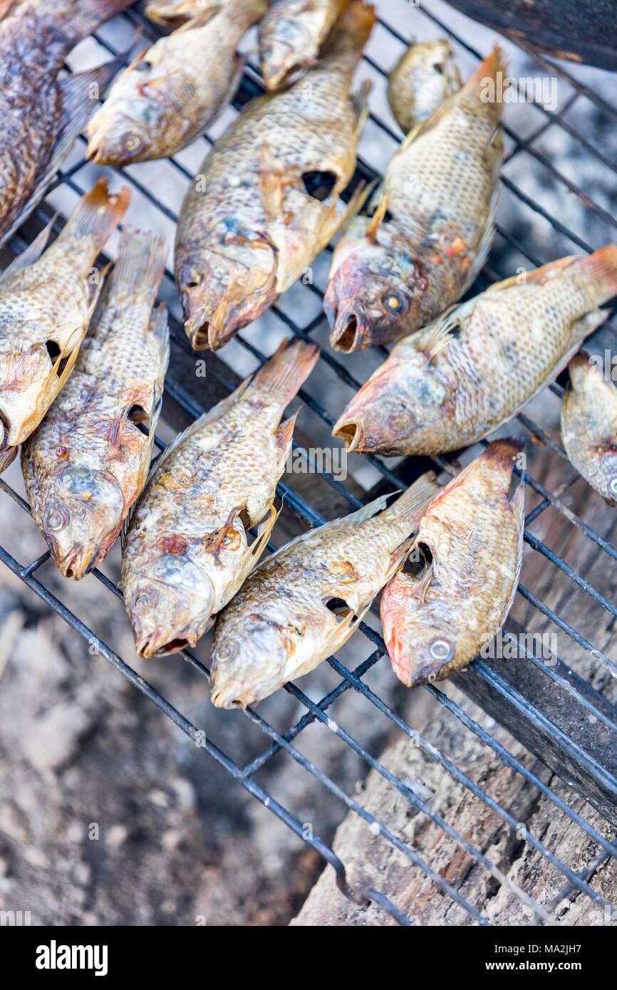 Grilled fish on a barbecue, Zambia, Africa Stock Photo - Alamy