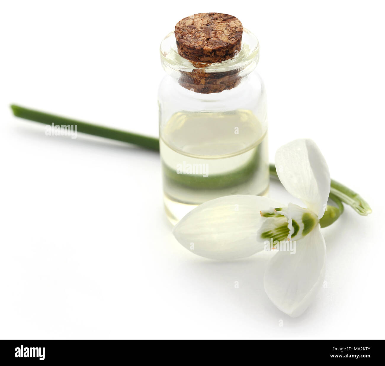 Bouquet of snowdrops Cut Out Stock Images & Pictures - Alamy