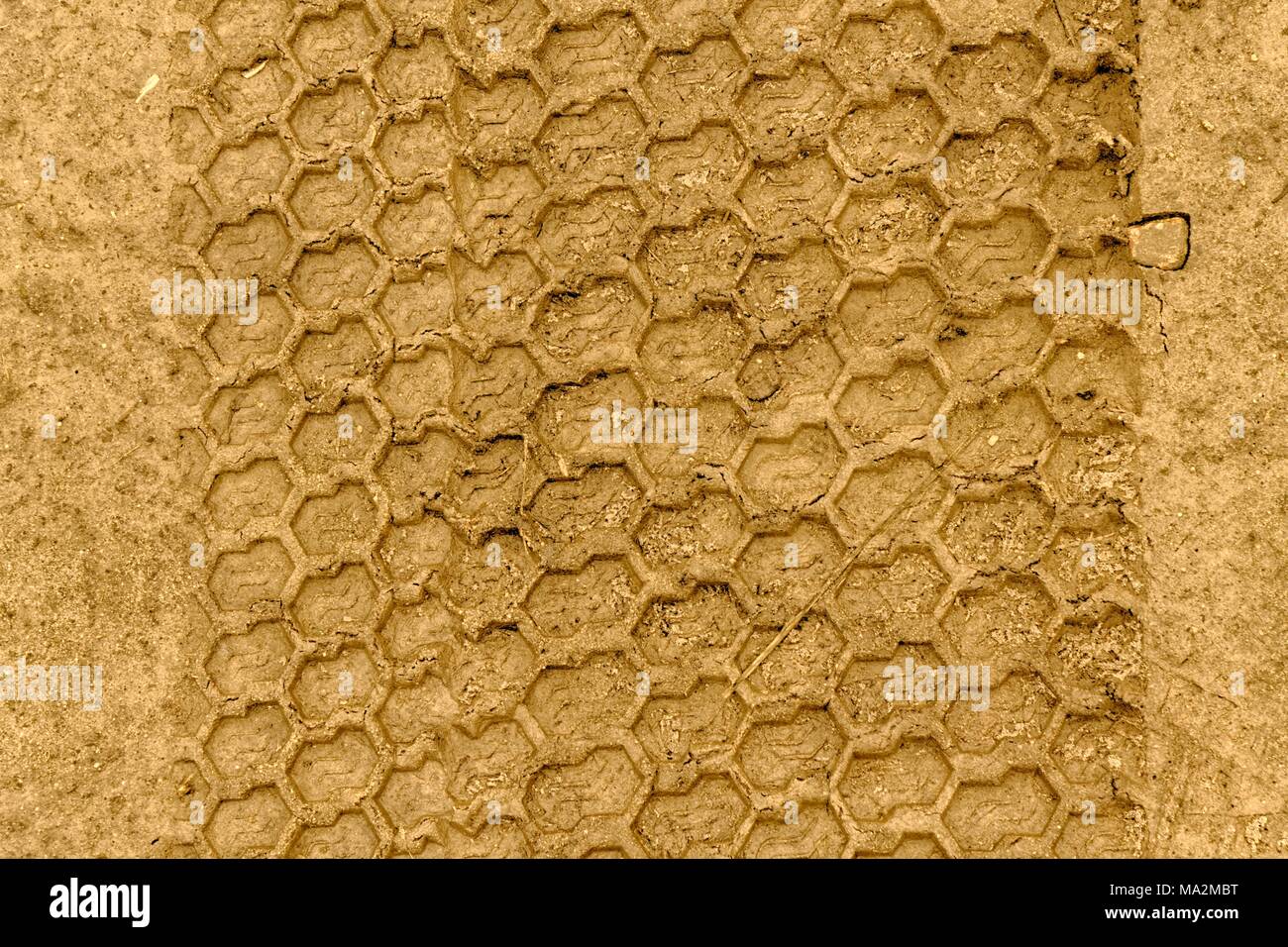 Mud texture or wet Autumn maple colored soil as natural organic clay ...