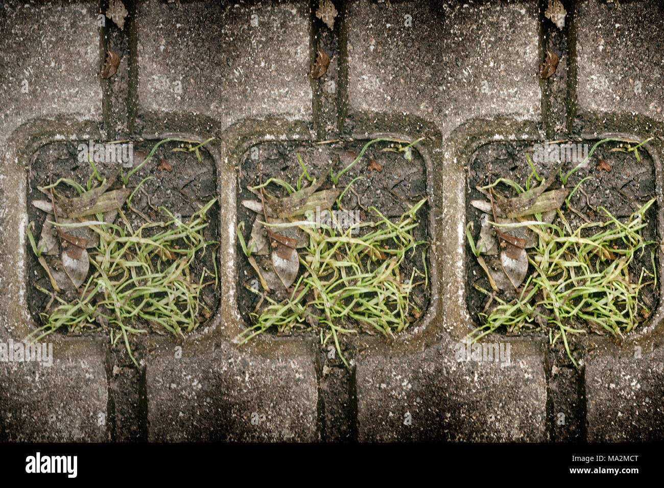 The Stone block walk path in the park with green grass background Stock ...
