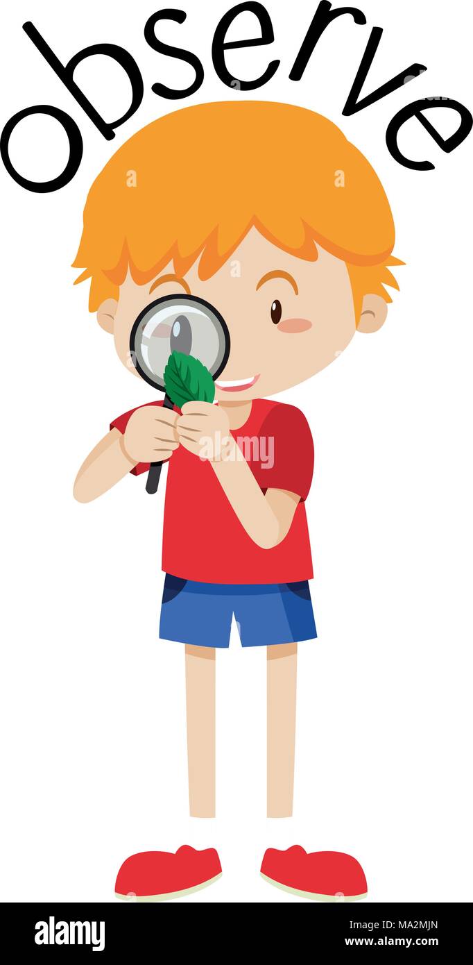Wordcard for obserbe with boy looking at leaf illustration Stock Vector ...