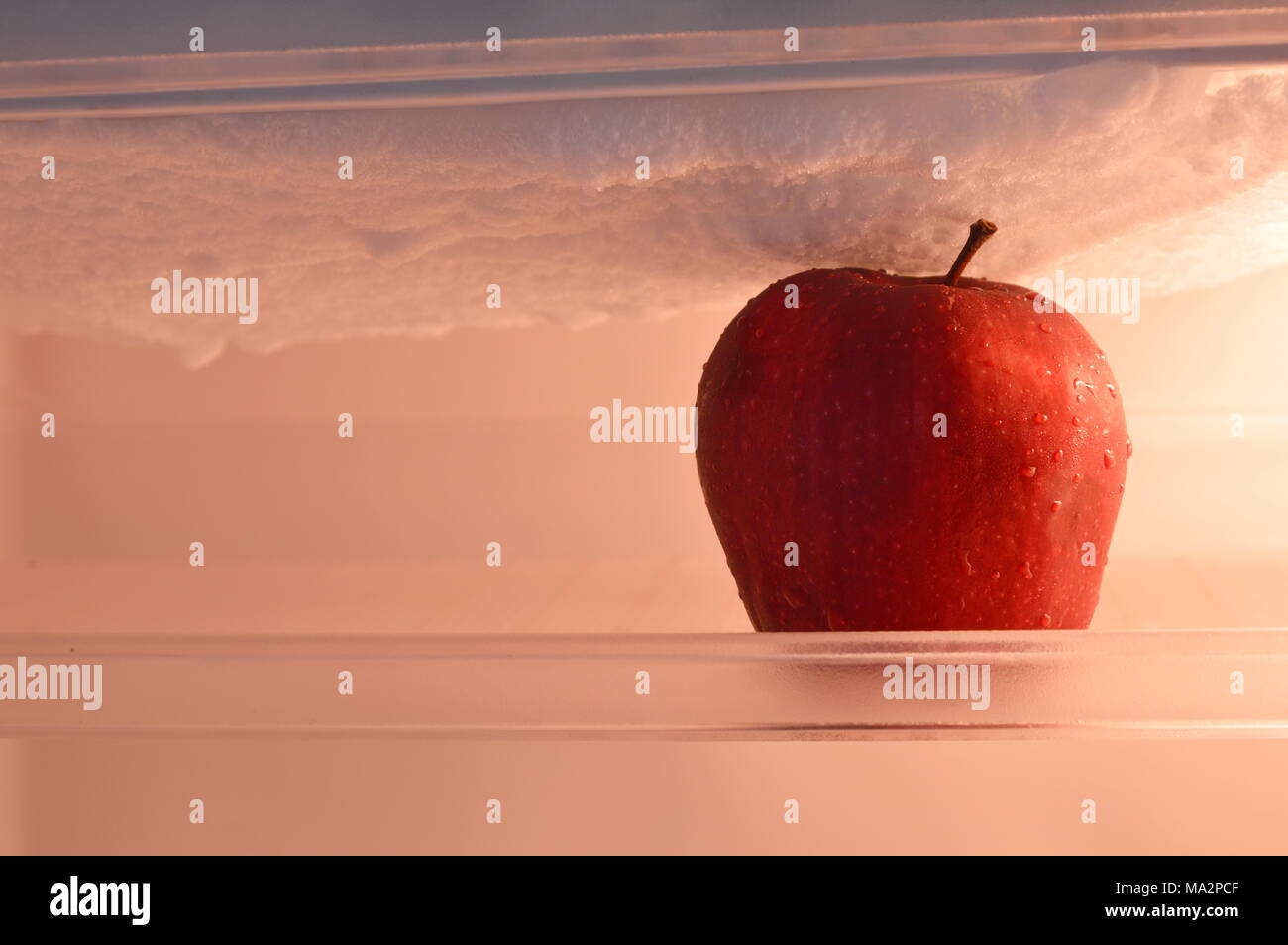 apple in refrigerator Stock Photo - Alamy