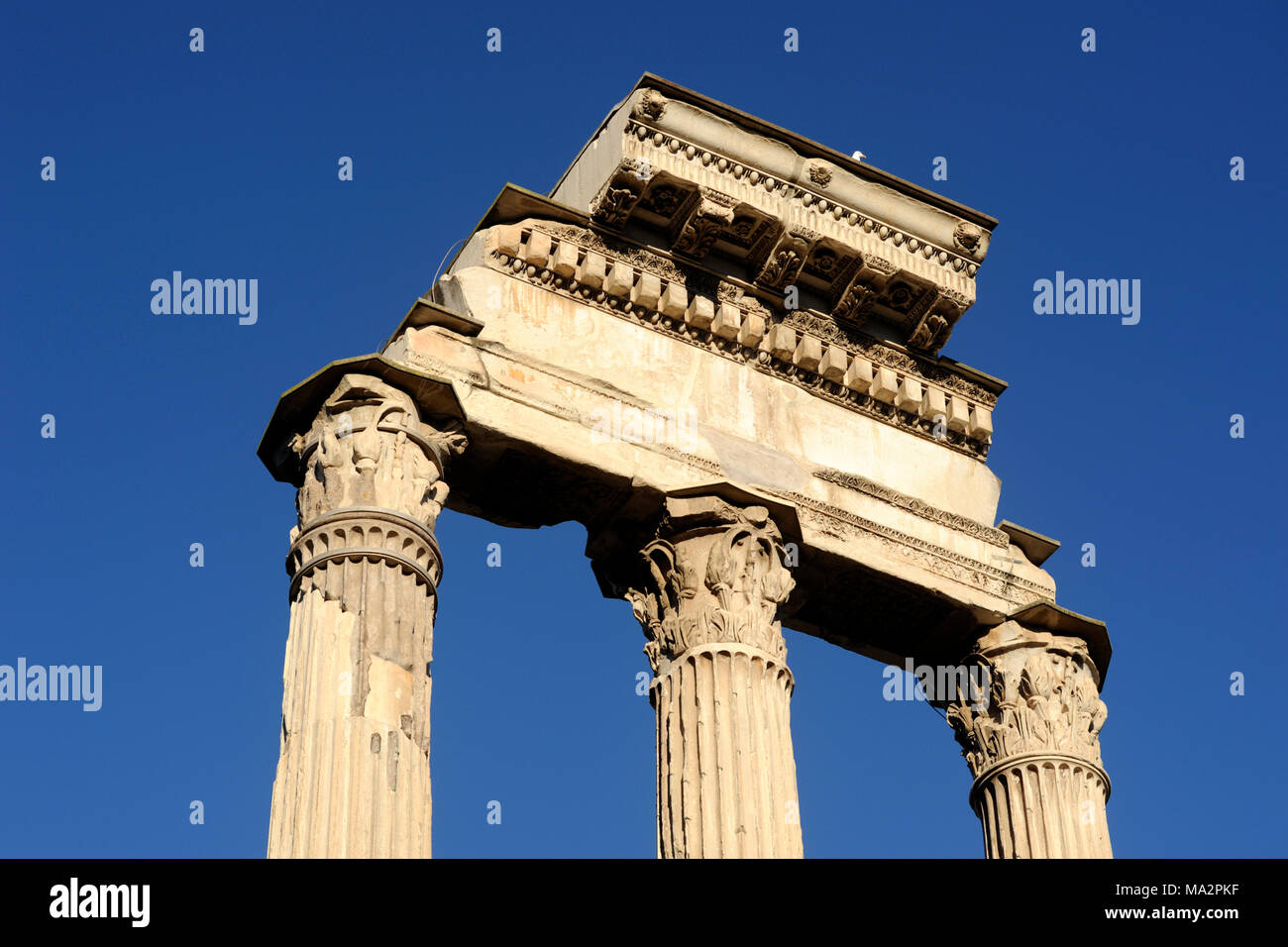 Italy, Rome, Roman Forum, temple of Castor and Pollux Stock Photo - Alamy