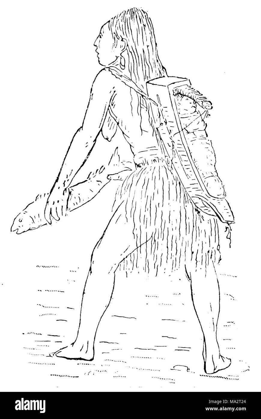 Flathead indian hi-res stock photography and images - Alamy