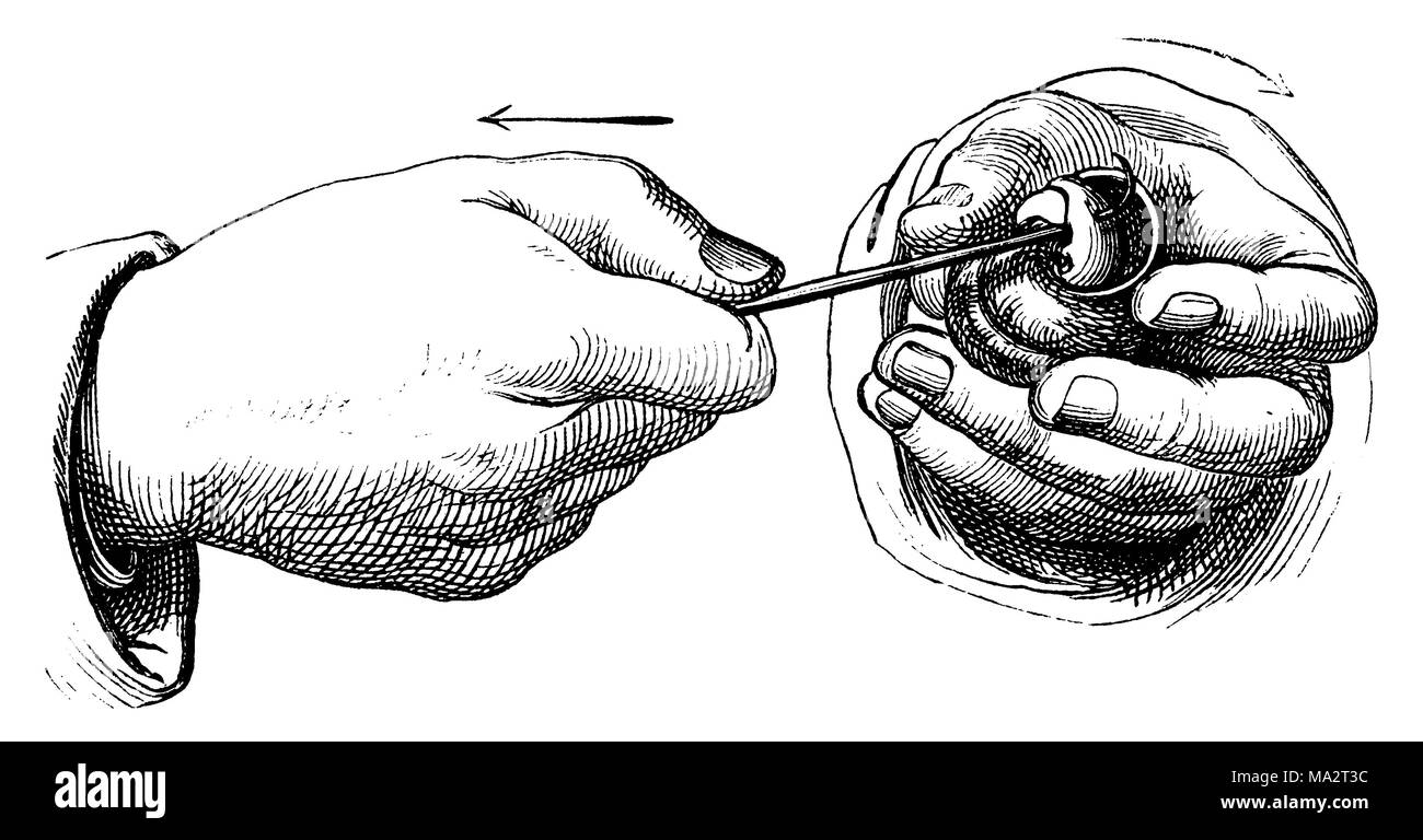 Snails line Black and White Stock Photos & Images - Alamy