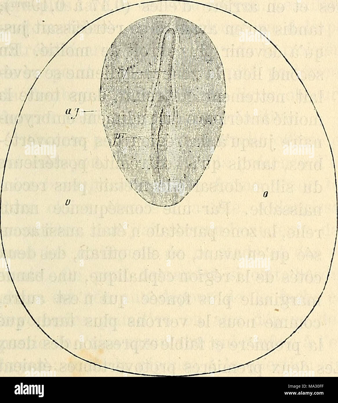 . Embryologie, ou, TraitÃ© complet du dÃ©veloppement de l'homme et des ...