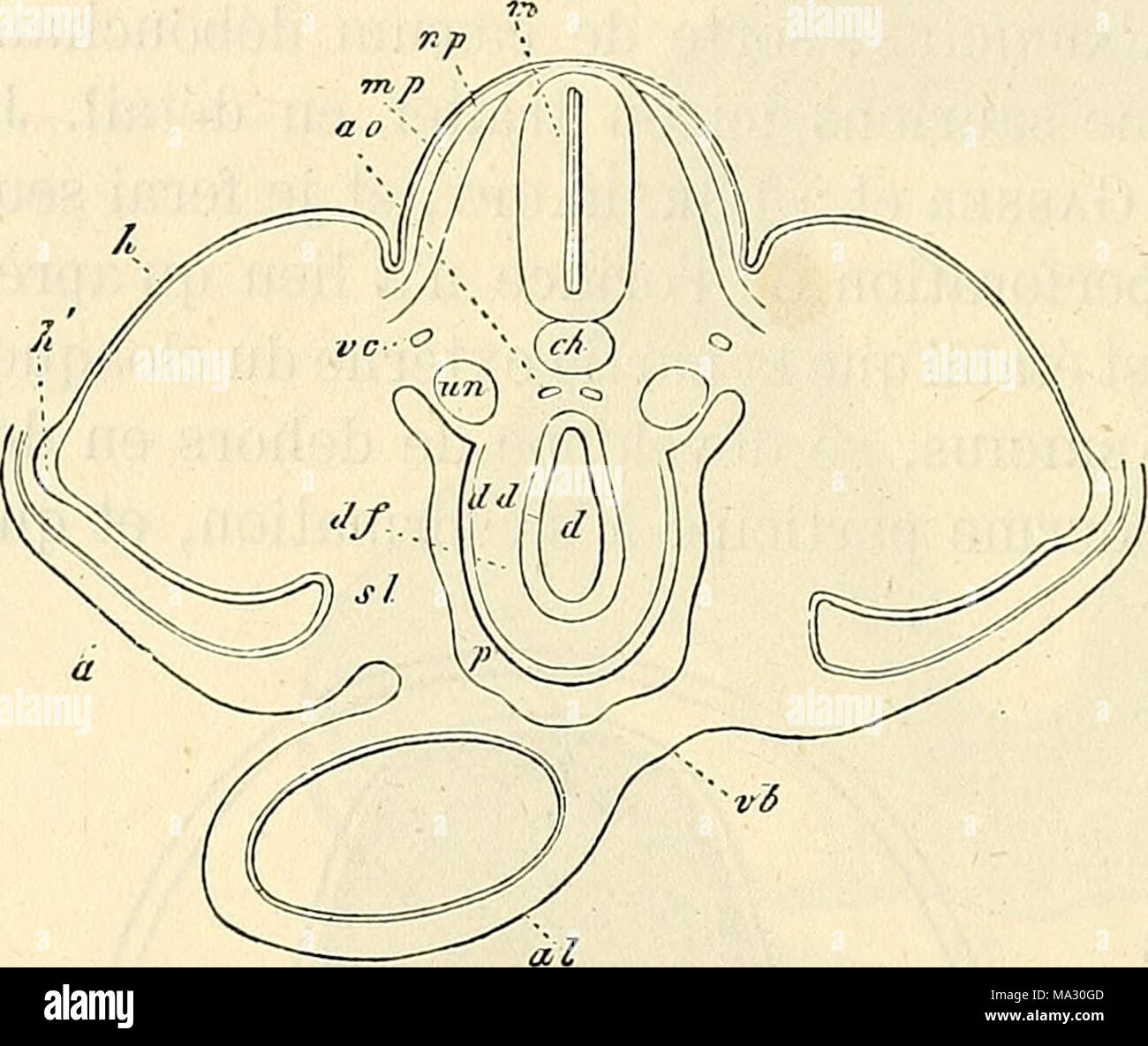 . Embryologie, ou, TraitÃ© complet du dÃ©veloppement de l'homme et des ...