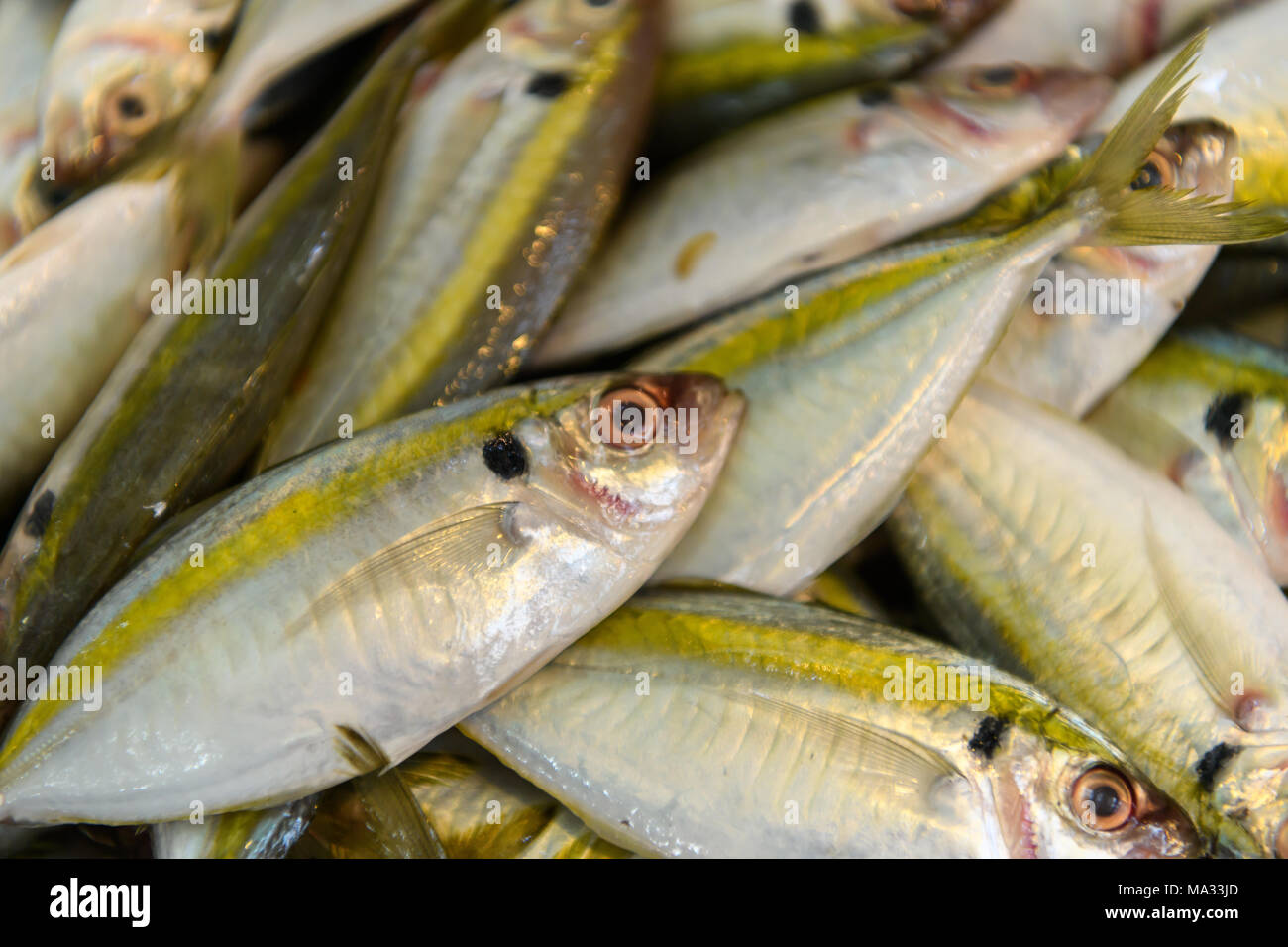 Fish heads tails display hi-res stock photography and images - Alamy