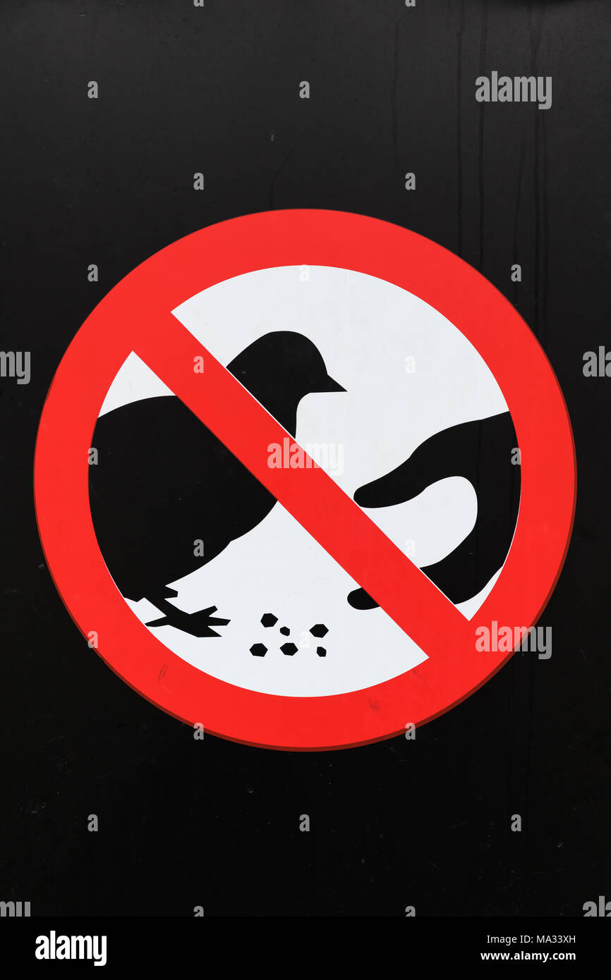 Red sign warning to not feed the pigeons Stock Photo - Alamy