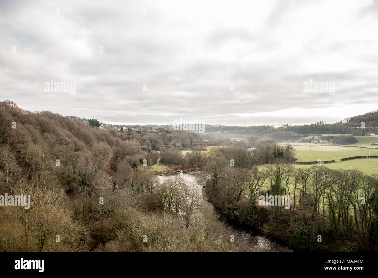 Beautiful Berwyn mountain landscapes of many trees lining the River Dee ...