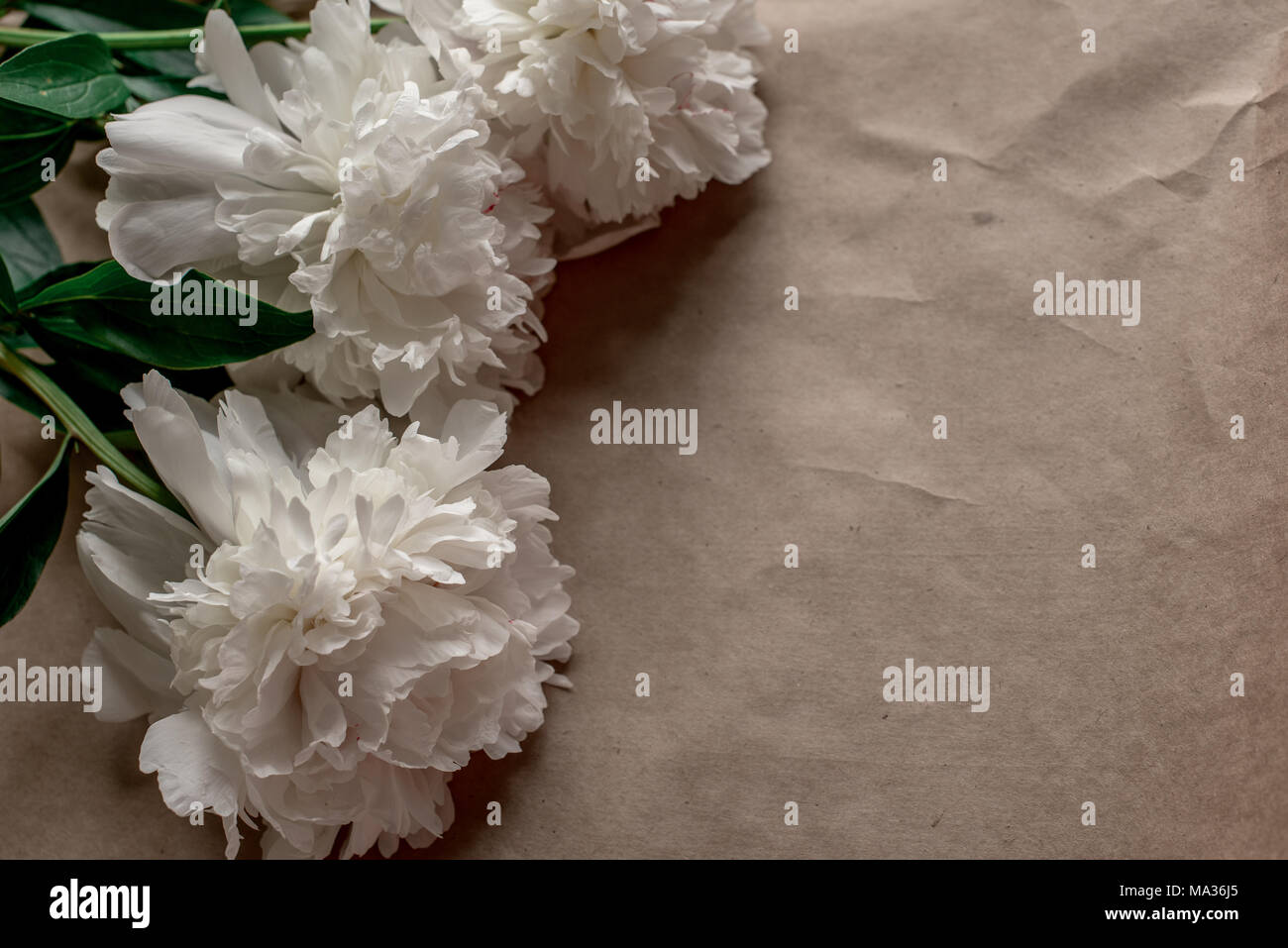 White peonies pattern on craft paper background with copy space Stock ...