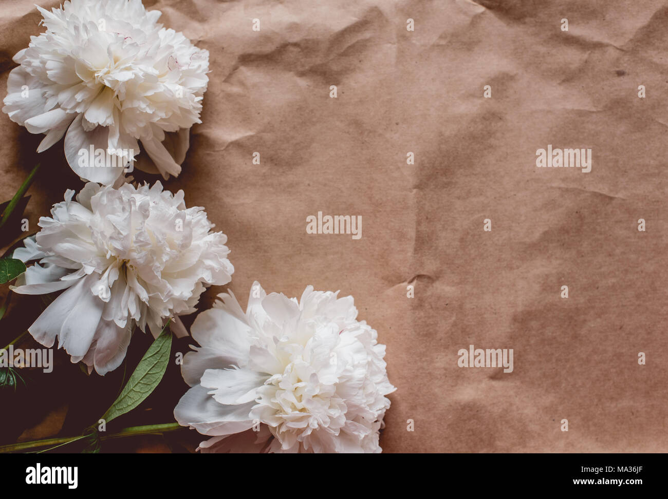 White peonies pattern on craft paper background with copy space Stock ...