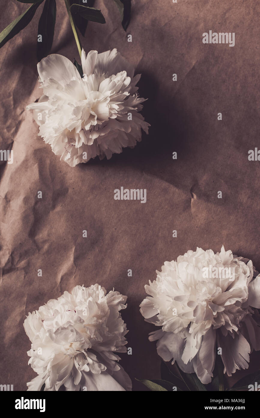 White peonies pattern on craft paper background with copy space Stock ...