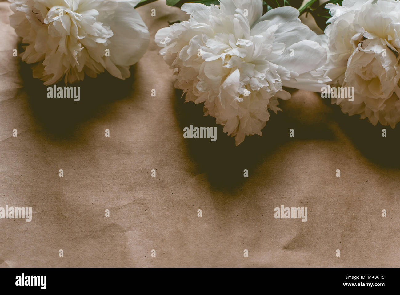 White peonies pattern on craft paper background with copy space Stock ...