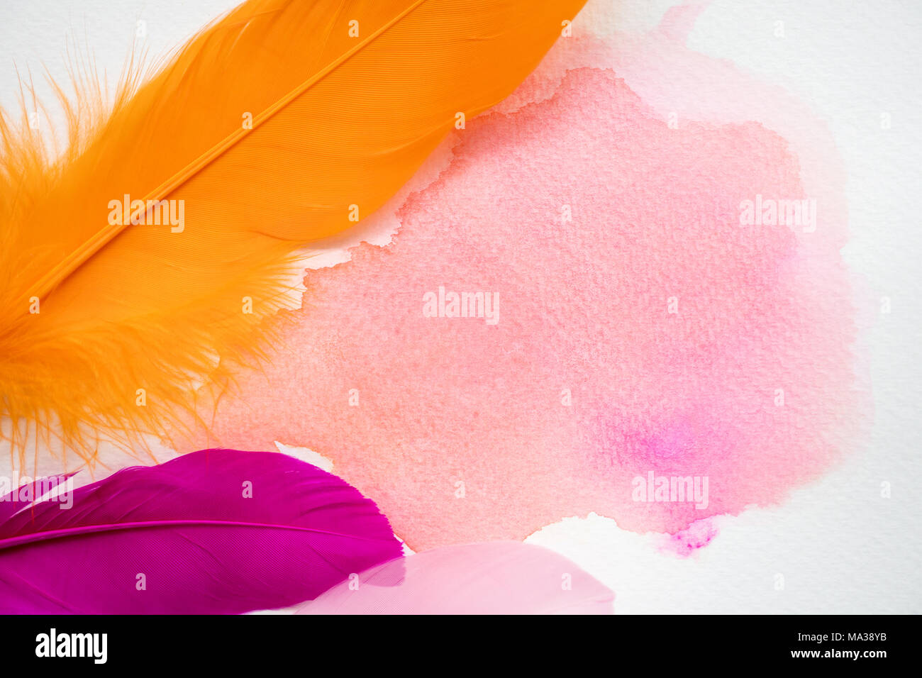 Abstract feathers painting hi-res stock photography and images - Alamy