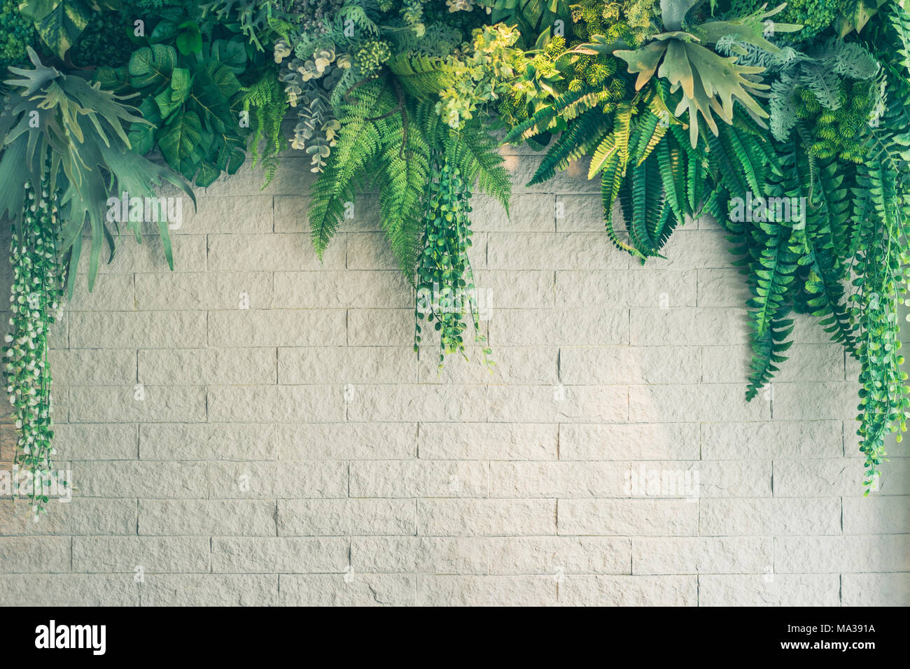 Background Images Of Plants Shrubs And Plants For Shady Borders