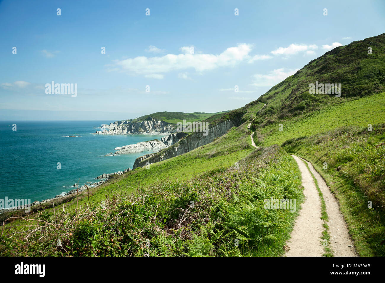 Devon pathway hi-res stock photography and images - Alamy